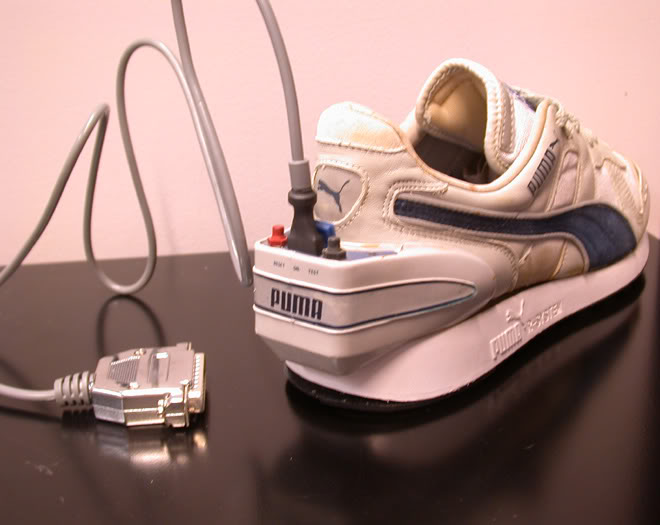 pumarscomputer1_383341 – Lalo Zanoni